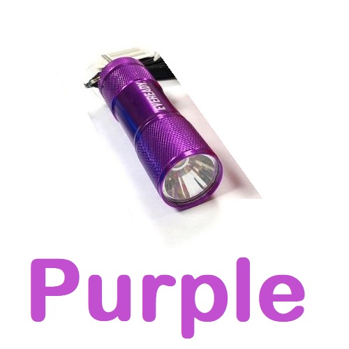 Eveready Compact LED Metal Light Flashlight Torch Flash Light Batteries ...