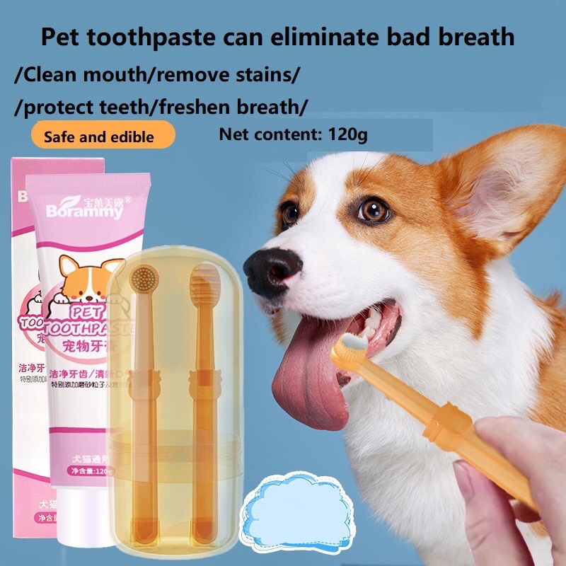 Pet toothpaste toothbrush set edible | Shopee Philippines