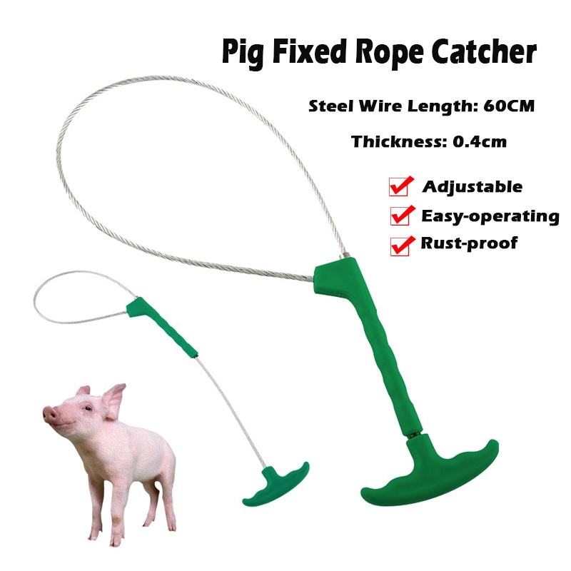 60cm Pig Fixed Rope Catcher Dog Pig Trap Stainless Steel Livestock ...
