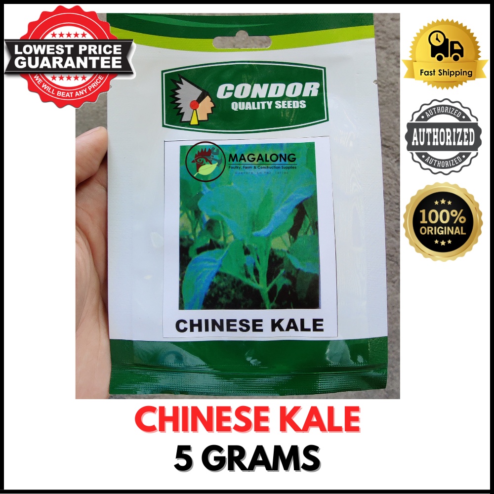CONDOR SEEDS - CHINESE KALE SEEDS - KAILAAN 5 Grams | Shopee Philippines