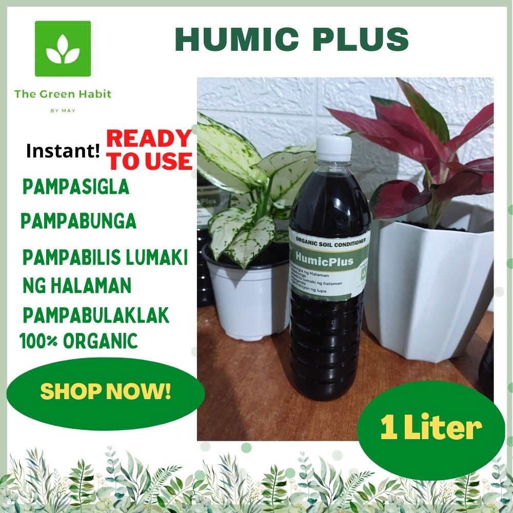Humic Plus original foliar organic for plant pampabunga pampabulaklak ...