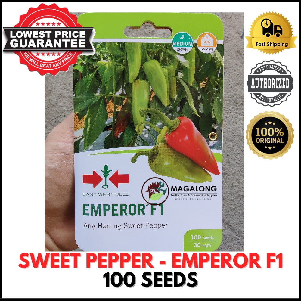 EAST-WEST SEEDS - SWEET PEPPER SEEDS - EMPEROR F1 HYBRID - 100 SEEDS ...