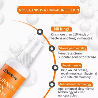 PUAINTA Anti Fungal Pipot Skin Spray For Dogs and Cats Skin Disease ...
