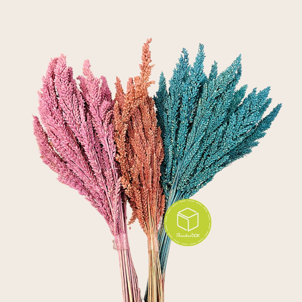 Local Dried Trigo Sold Per Bundle | Shopee Philippines