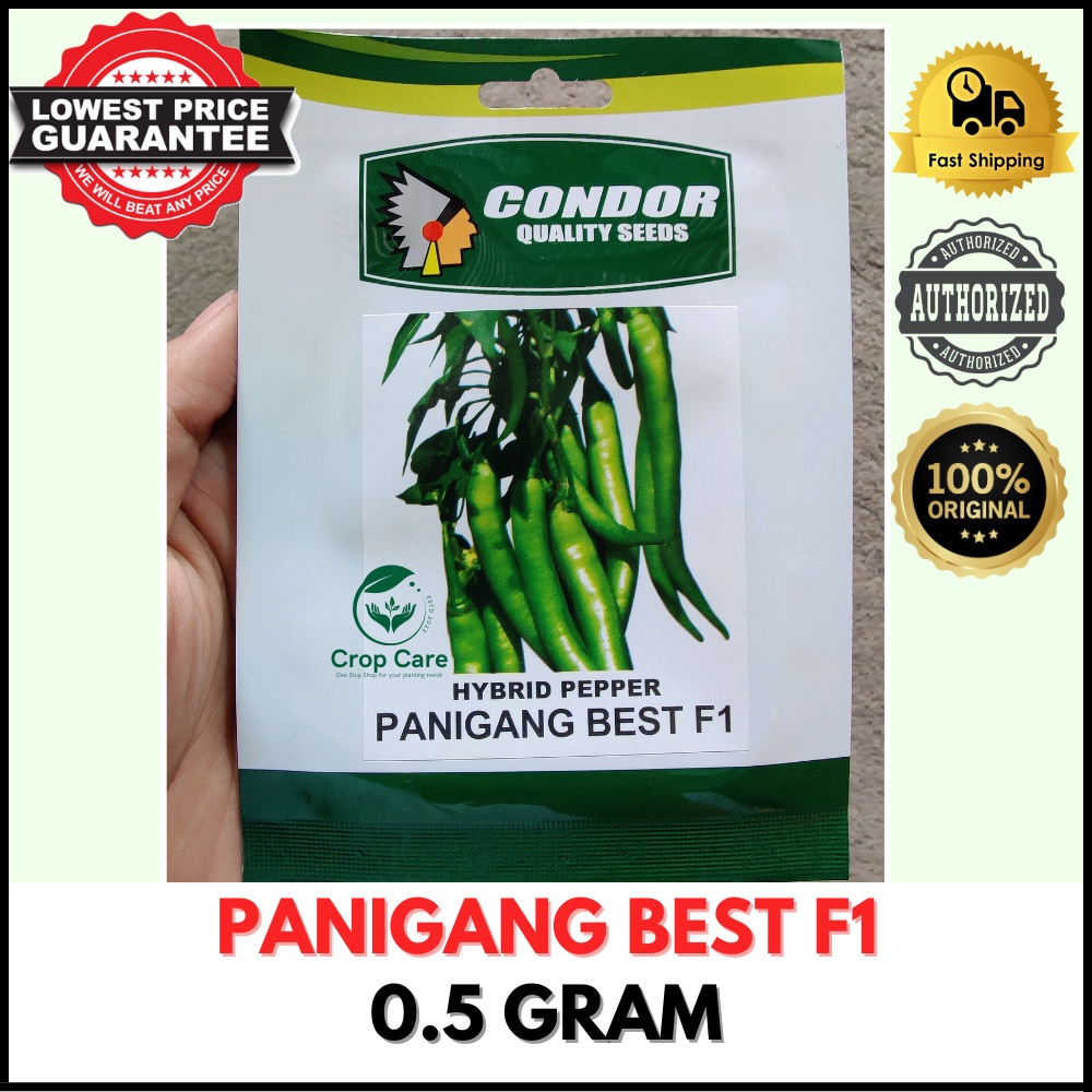 CONDOR SEEDS - PEPPER SEEDS - PANIGANG BEST F1 HYBRID 0.5 Grams ...