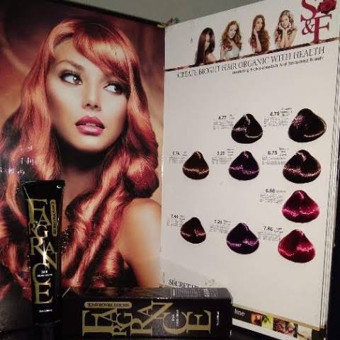 secret fragrance hair colors all colors | Shopee Philippines