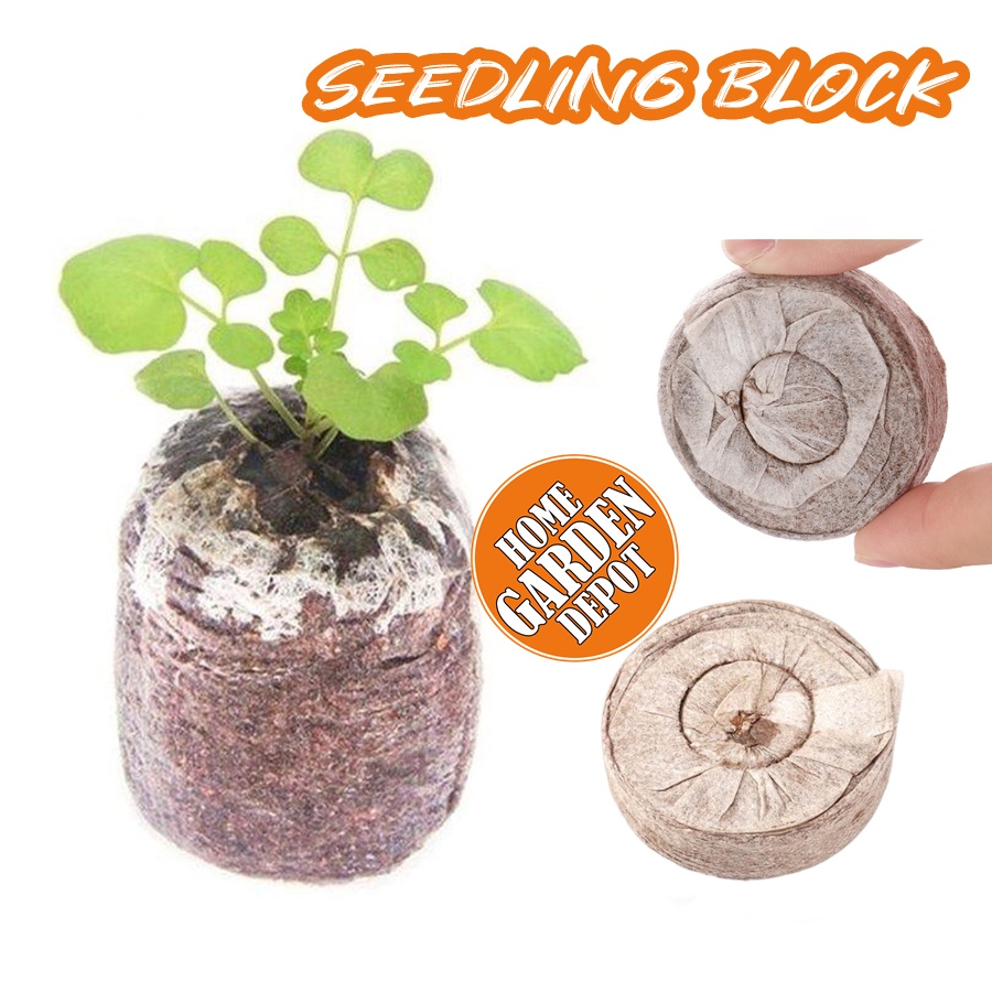 Seedlings Nutrient Block Compression Compress Peat Blocks Magic Soil ...