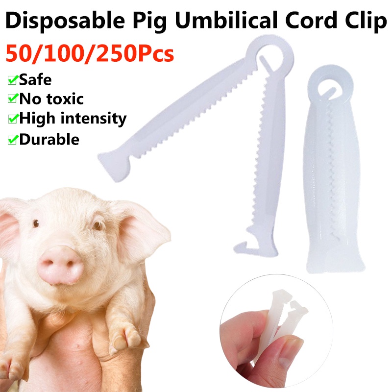 50/100/250Pcs Disposable Pig Umbilical Cord Clip Sterile Plastic Cord ...