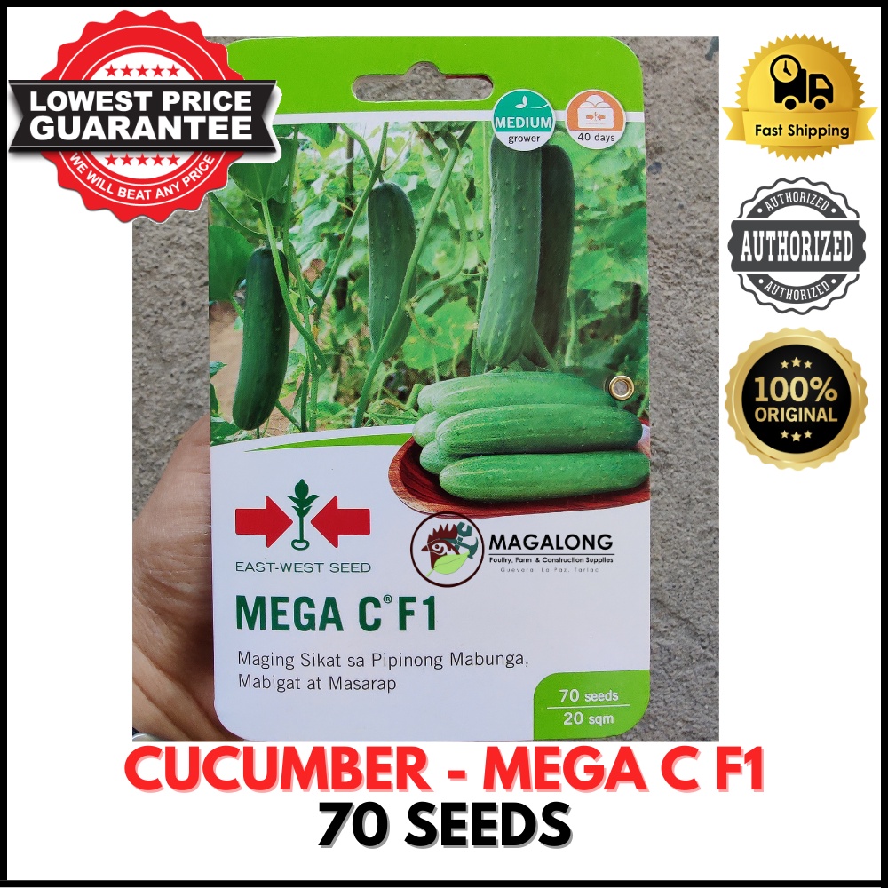 EAST-WEST SEEDS - CUCUMBER SEEDS - MEGA C F1 HYBRID - 70 SEEDS | Shopee ...