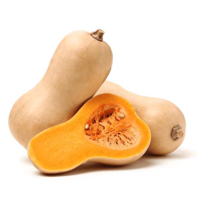 Sweet Butternut Squash Pumpkin Kalabasa Vegetable Variety Seeds ( 10 ...