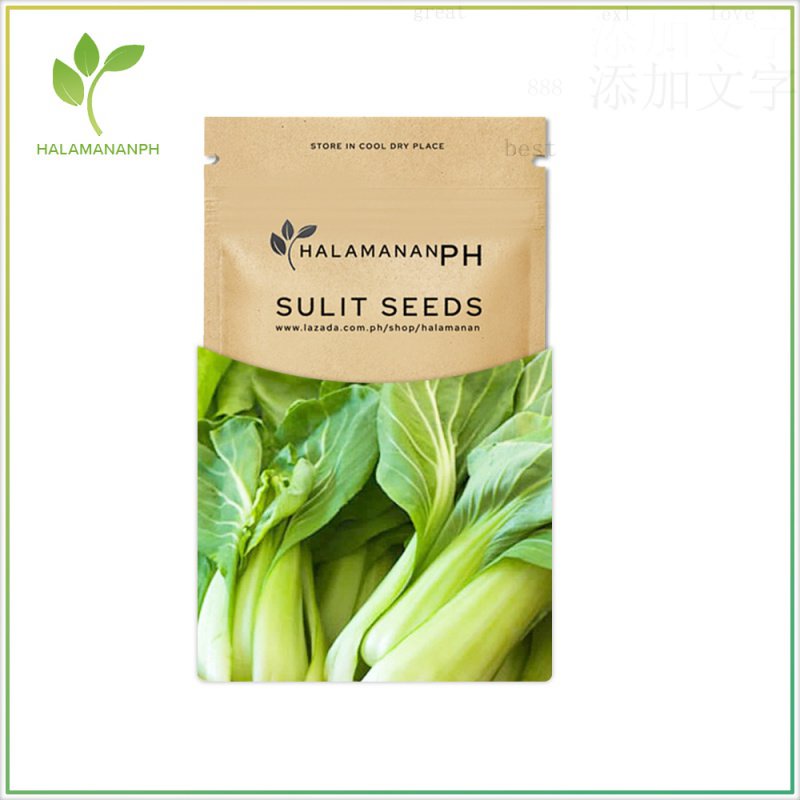 1000 Seeds Pechay Green Stem BOKCHOI-SUPER Sulit Vegetable Seed Pack ...