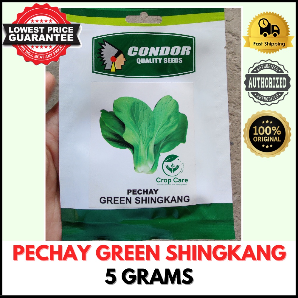 CONDOR SEEDS - PECHAY SEEDS - GREEN SHINGKANG 5 Grams | Shopee Philippines