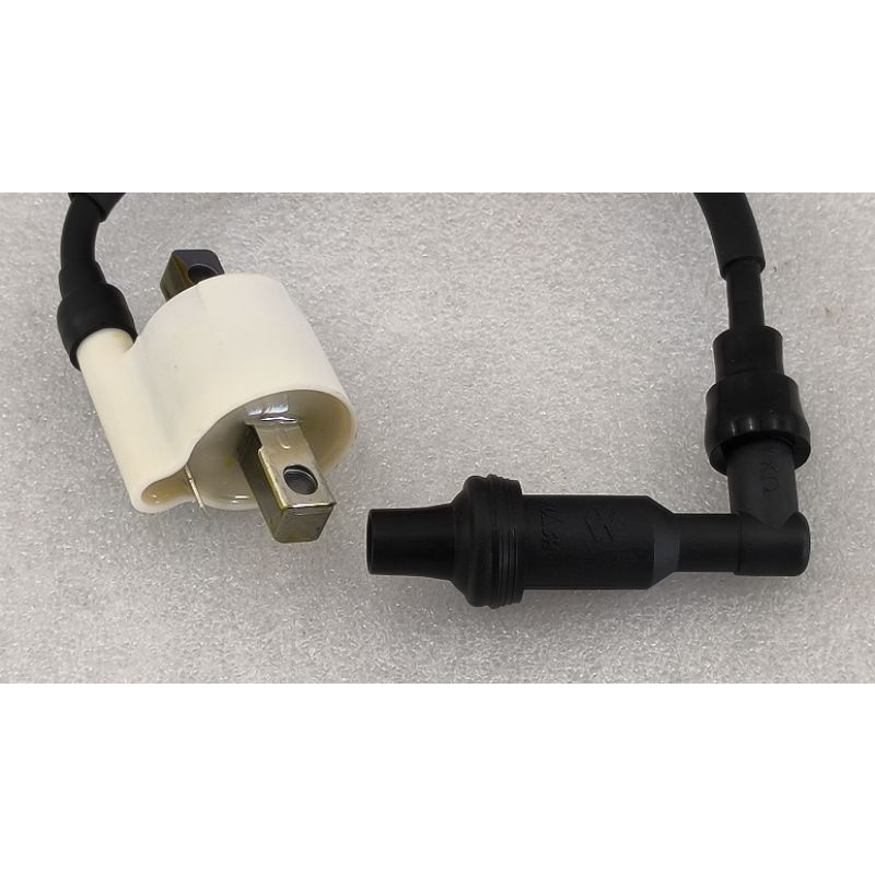 Ignition Coil Set with Spark Plug Cap CT100,B,C CT125 PA351212 DY351201 ...