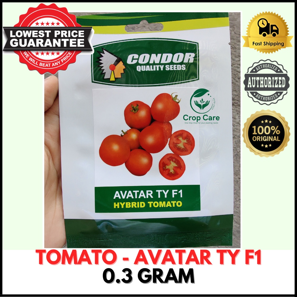 CONDOR SEEDS - TOMATO SEEDS - AVATAR TY F1 HYBRID 0.3 Grams | Shopee ...