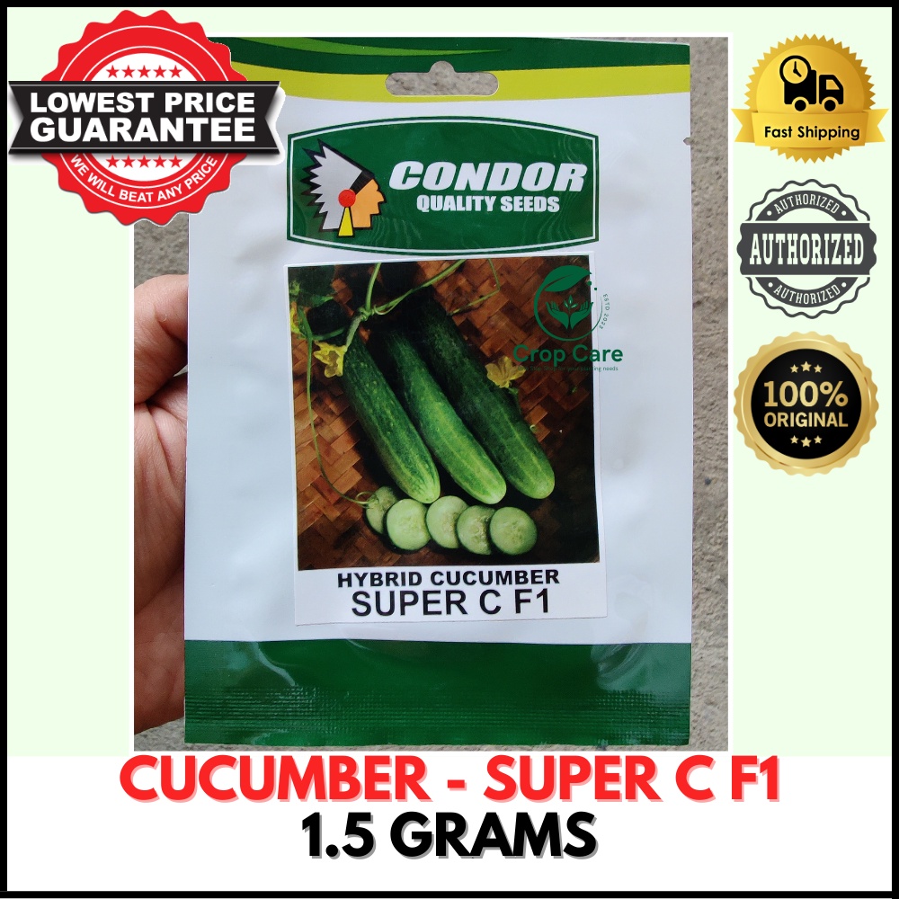 CONDOR SEEDS - CUCUMBER SEEDS - SUPER C F1 HYBRID 1.5 Grams | Shopee ...