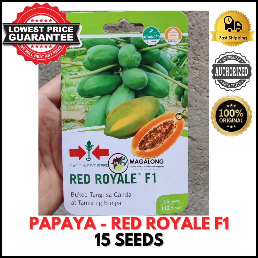 EAST-WEST SEEDS - PAPAYA SEEDS - RED ROYALE F1 HYBRID 15 Seeds | Shopee ...