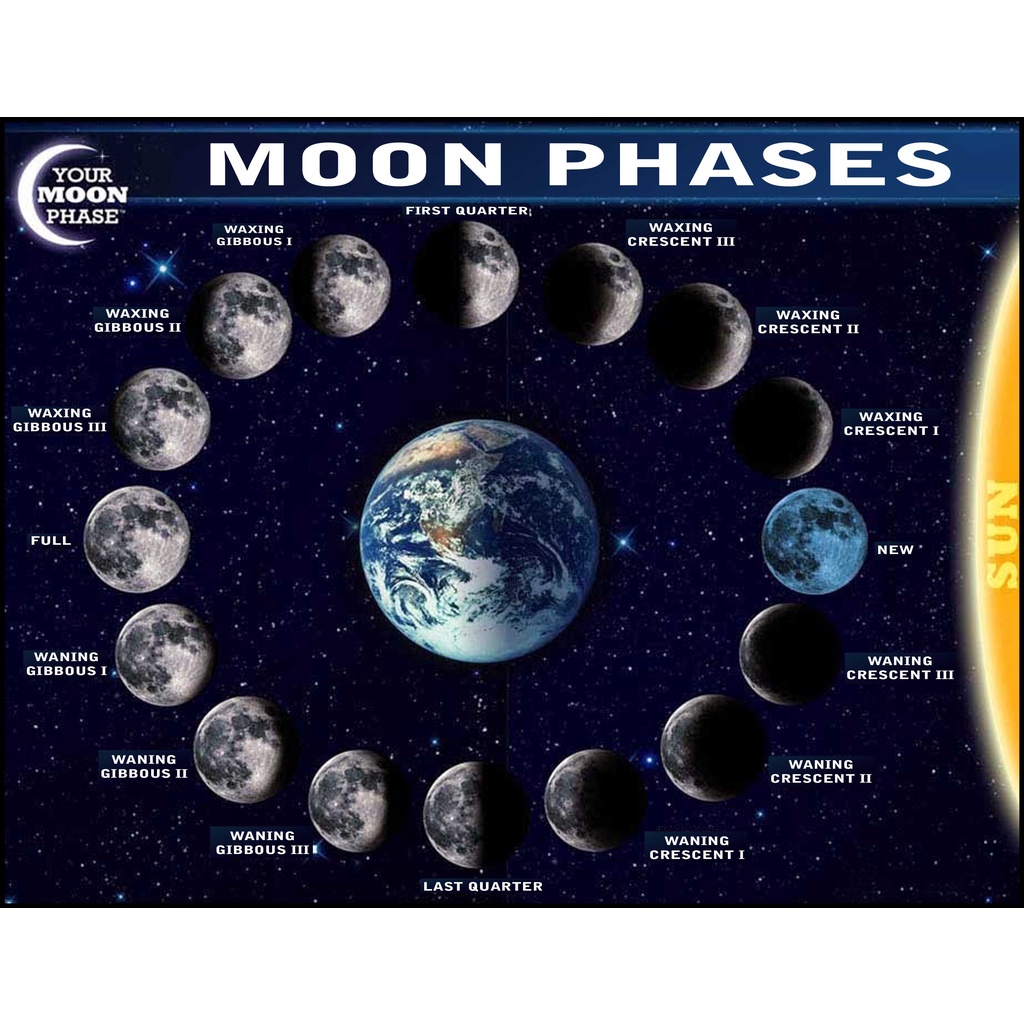 Laminated Moon Phases - learning materials - 8r size | Shopee Philippines Laminated Moon Phases - learning materials - 8r size | Shopee Philippines
