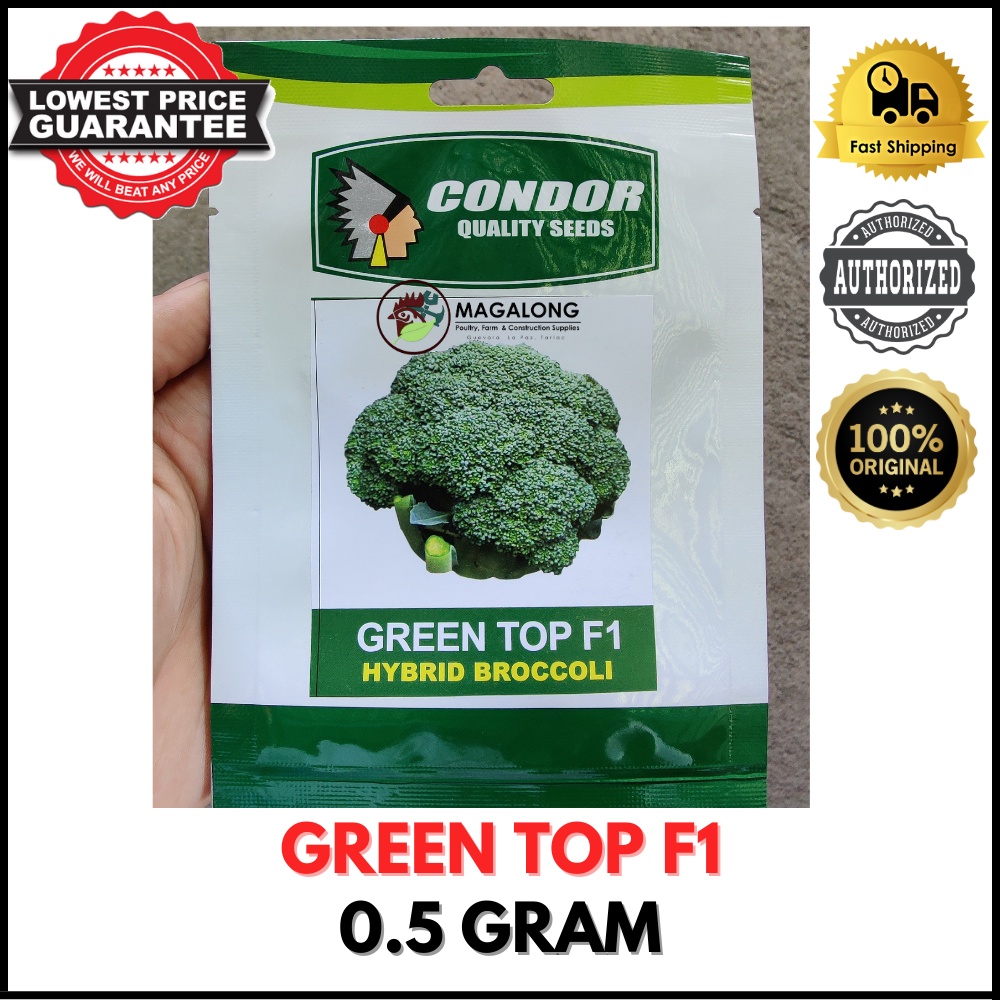 CONDOR SEEDS - BROCCOLI SEEDS - GREEN TOP F1 HYBRID 0.5 Grams | Shopee ...