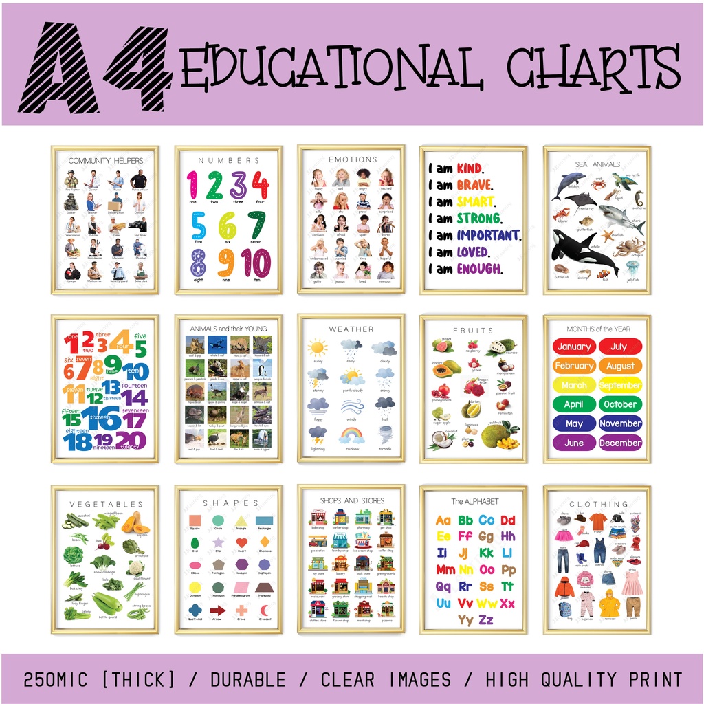 (1of 2) A4 Minimalist Educational Poster | Laminated Learning Chart ...