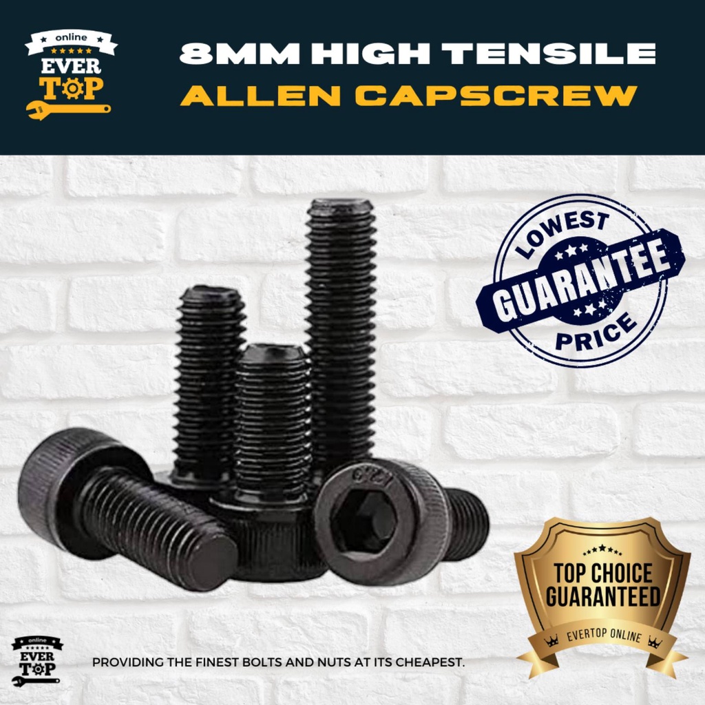 8MM (1.25P) HIGHTENSILE ALLEN CAPSCREW 10PCS | ALLEN SOCKET HEAD BOLT ...