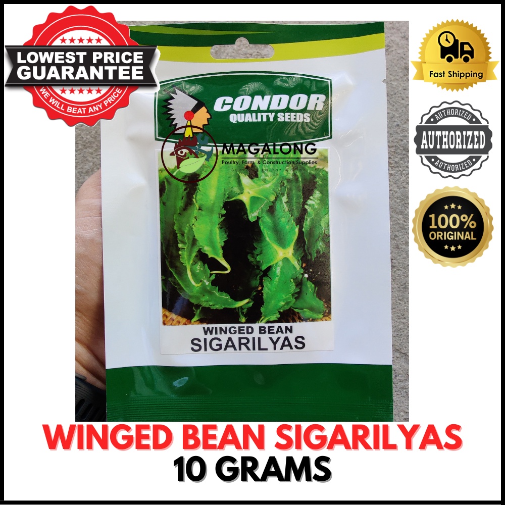 CONDOR SEEDS - SIGARILYAS / WINGED BEAN - 10 GRAMS | Shopee Philippines