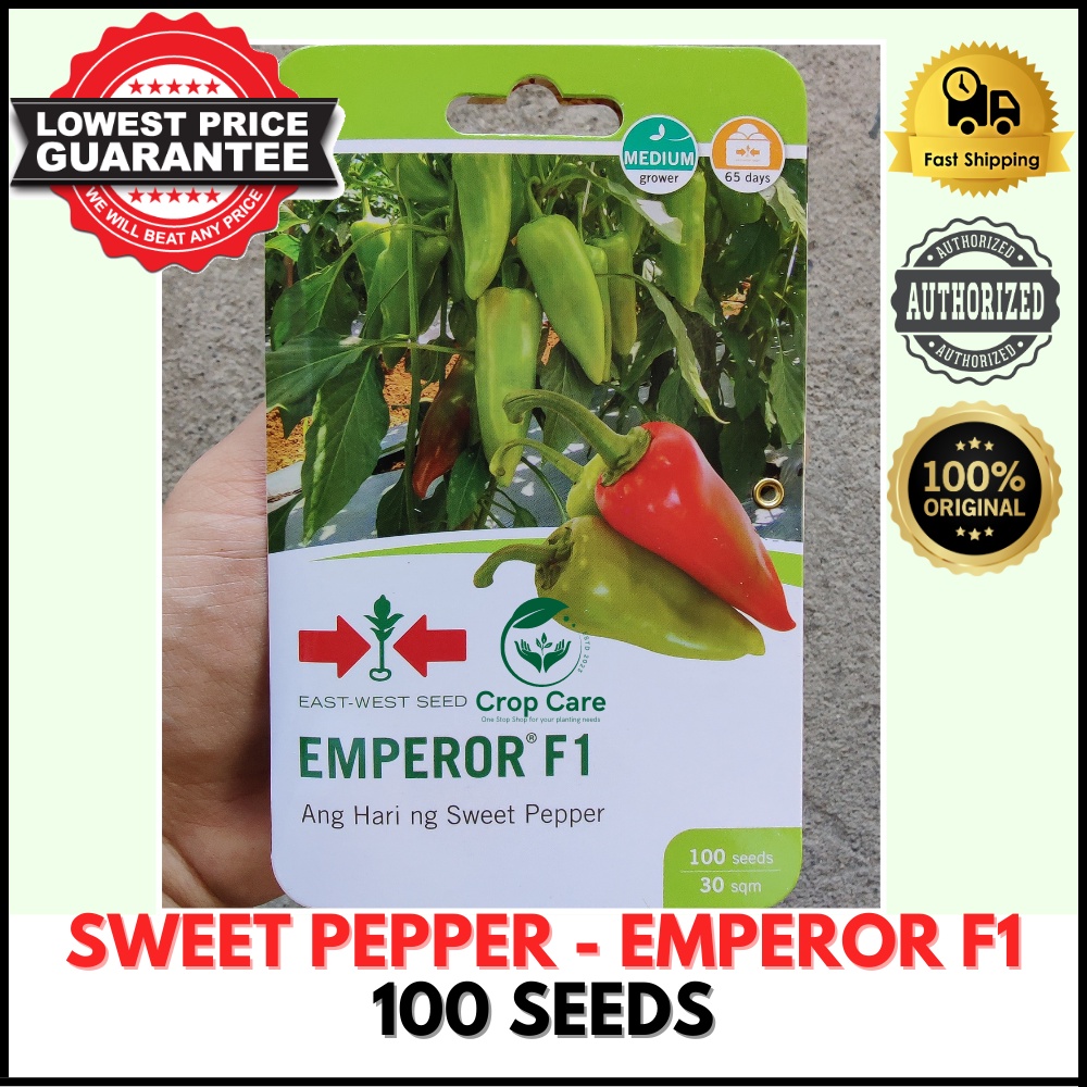 EAST-WEST SEEDS - SWEET PEPPER SEEDS - EMPEROR F1 HYBRID - 100 SEEDS ...
