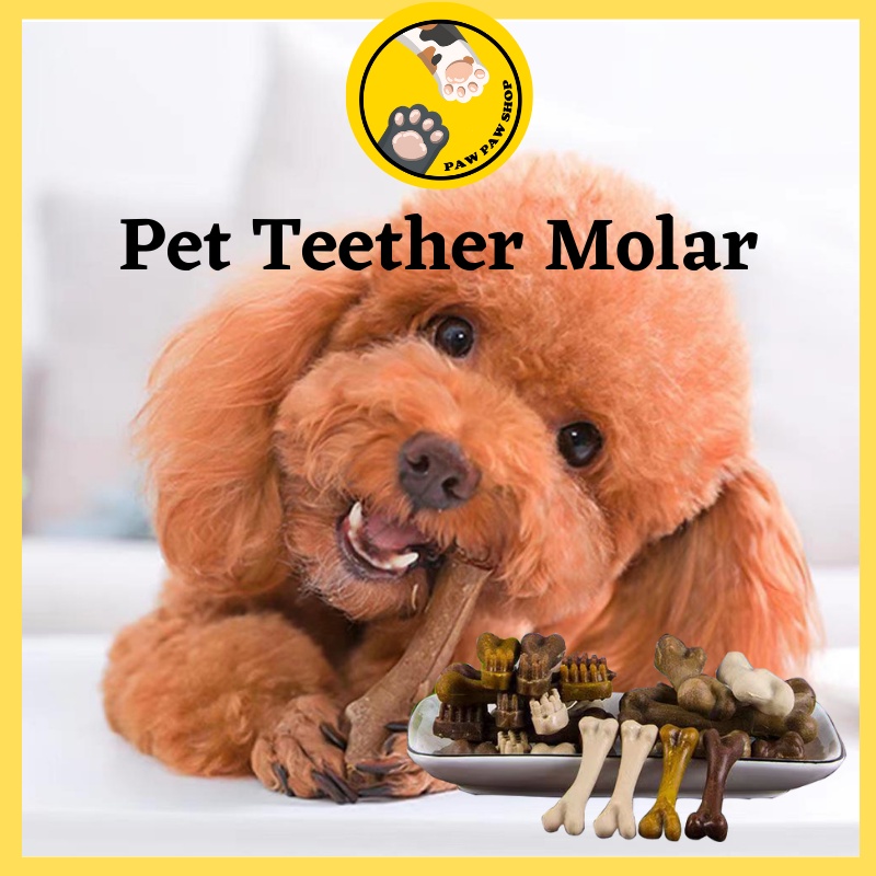 Dog Molar Stick Snack Molar Toy Calcium Supplement And Halitosis ...