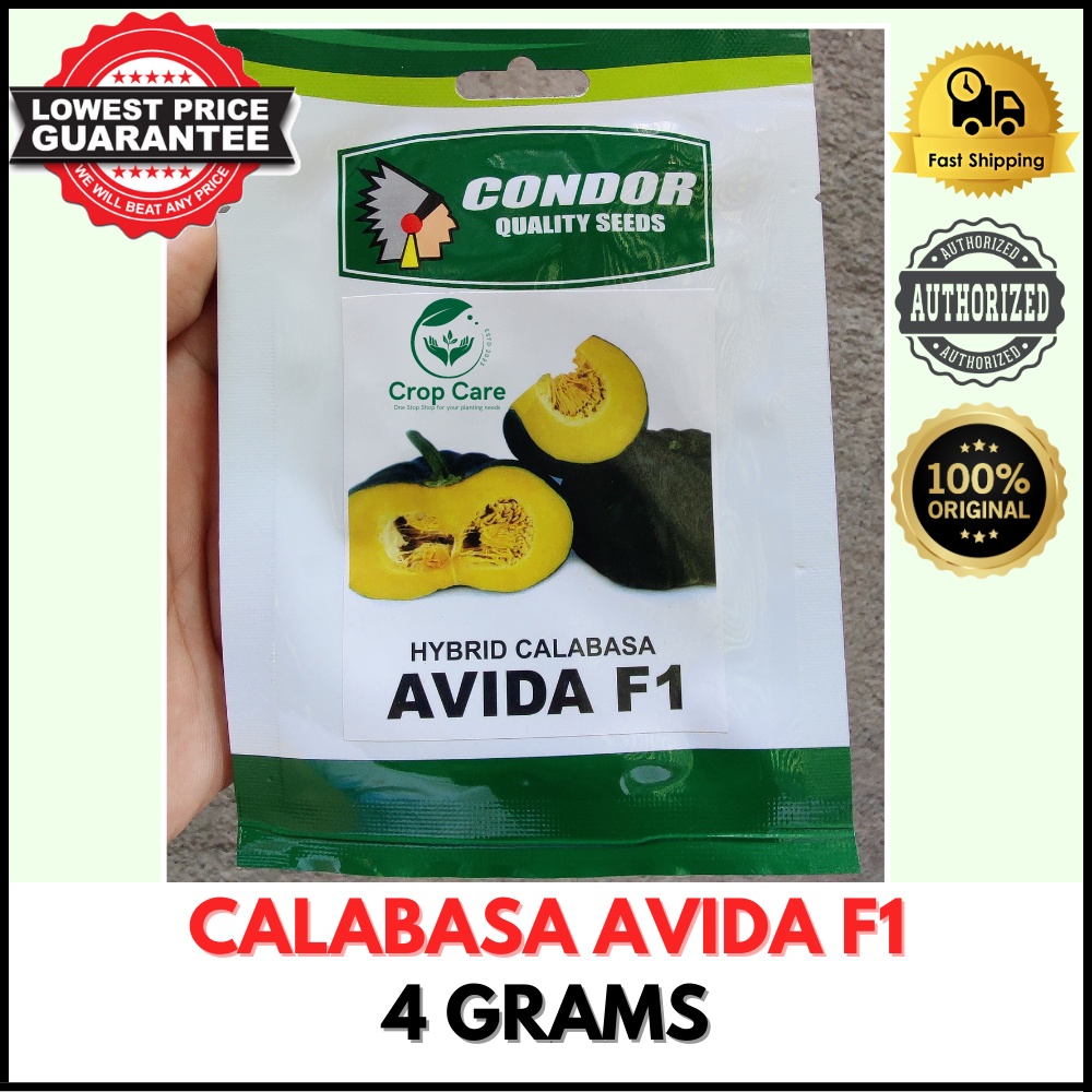 CONDOR SEEDS - CALABASA SEEDS - LA VIDA F1 HYBRID 4 Grams | Shopee ...