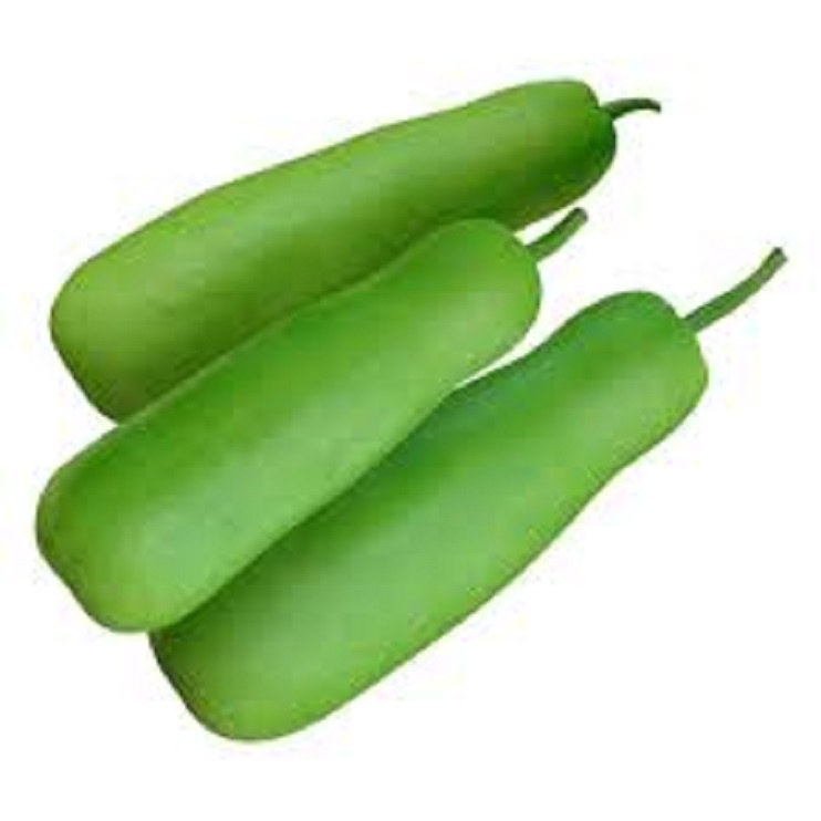 UPO SEEDS BOTTLE (TAMBULI GOURD) | Shopee Philippines