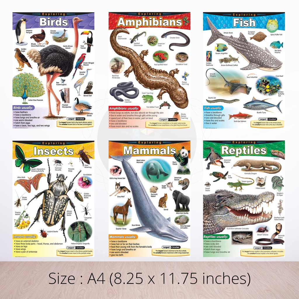 ANIMAL CHARTS FOR KIDS| LAMINATED CHART FOR KIDS | Shopee Philippines