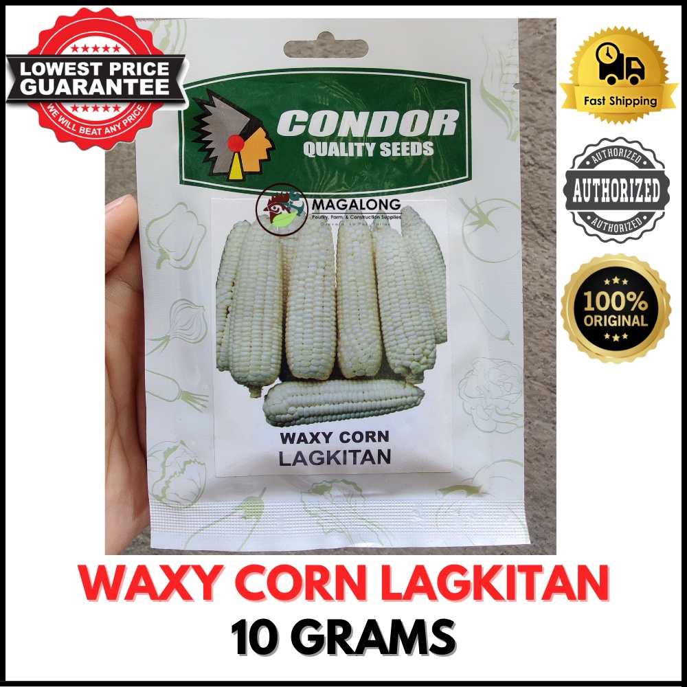 CONDOR SEEDS - WAXY CORN - LAGKITAN 10 Grams | Shopee Philippines