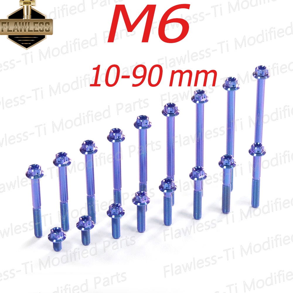FLAWLESSTI M6×10-90 Gr5 Titanium Bolts CNC Bolts Brake Disc Crankcase ...