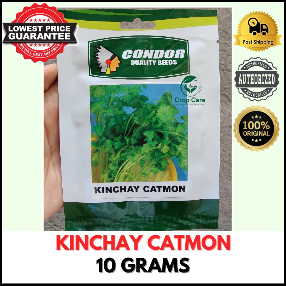 CONDOR SEEDS - KINCHAY SEEDS - CATMON 10 Grams | Shopee Philippines