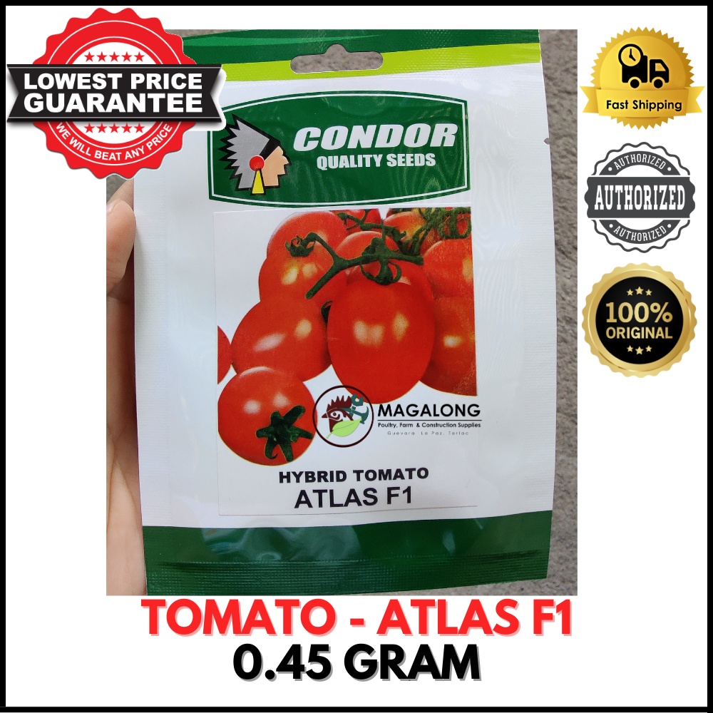 CONDOR SEEDS - TOMATO SEEDS - ATLAS F1 HYBRID 0.45 Grams | Shopee ...