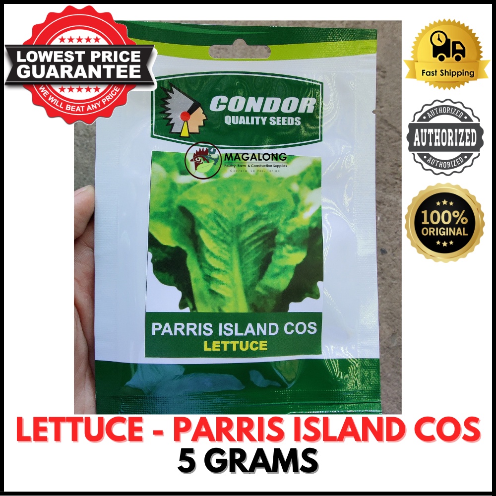 CONDOR SEEDS - LETTUCE SEEDS - PARRIS ISLAND COS 5 Grams | Shopee ...