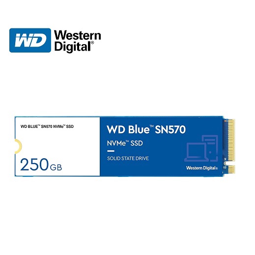 Western Digital WD Blue 250GB SN570 NVMe M.2 2280 Internal SSD ...