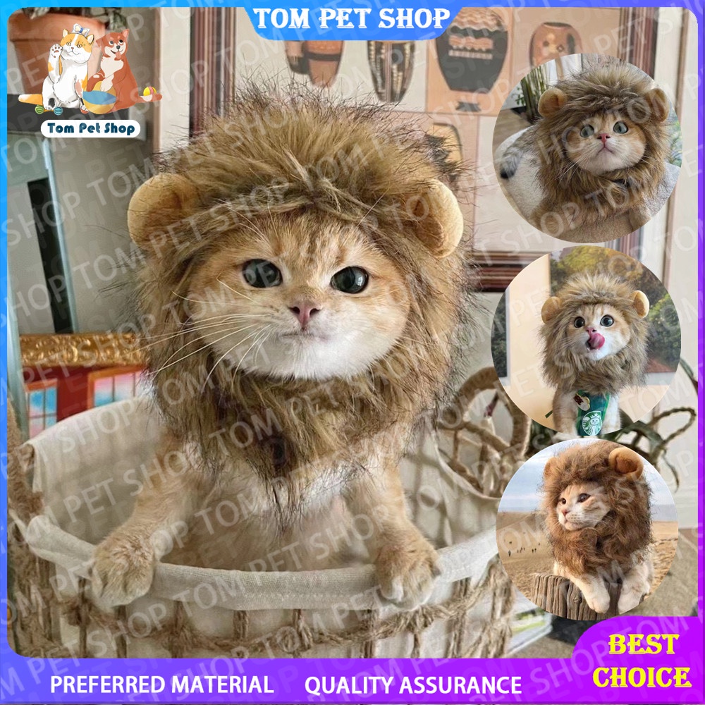 Cute Lion Mane Cat Wig Hat Dog and Cat Small Dog Pet Cat Decoration ...