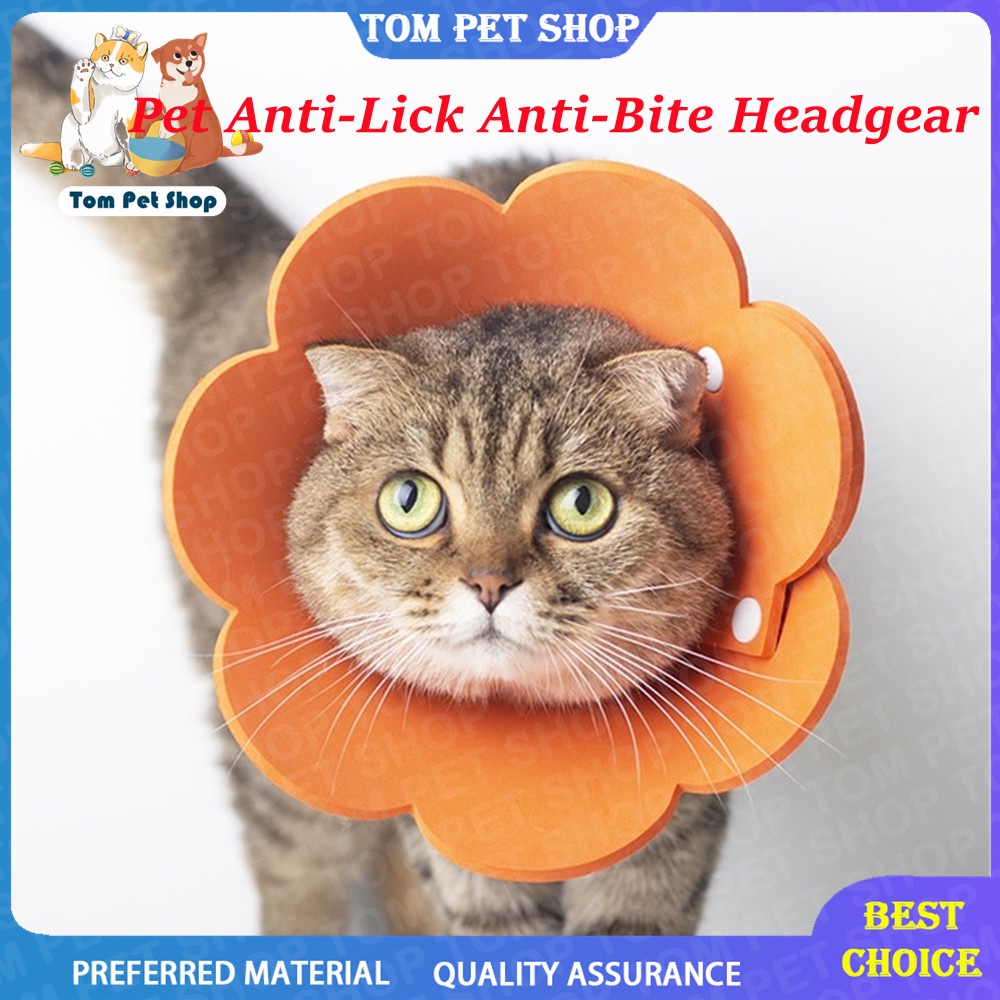 Pet Elizabeth Cone E-Collar Cat Dog Safety Collar Circle Pet Head Cover ...