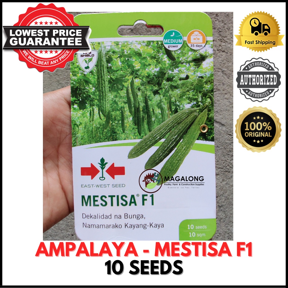 EAST-WEST SEEDS - AMPALAYA SEEDS - MESTISA F1 HYBRID 10 Seeds | Shopee ...