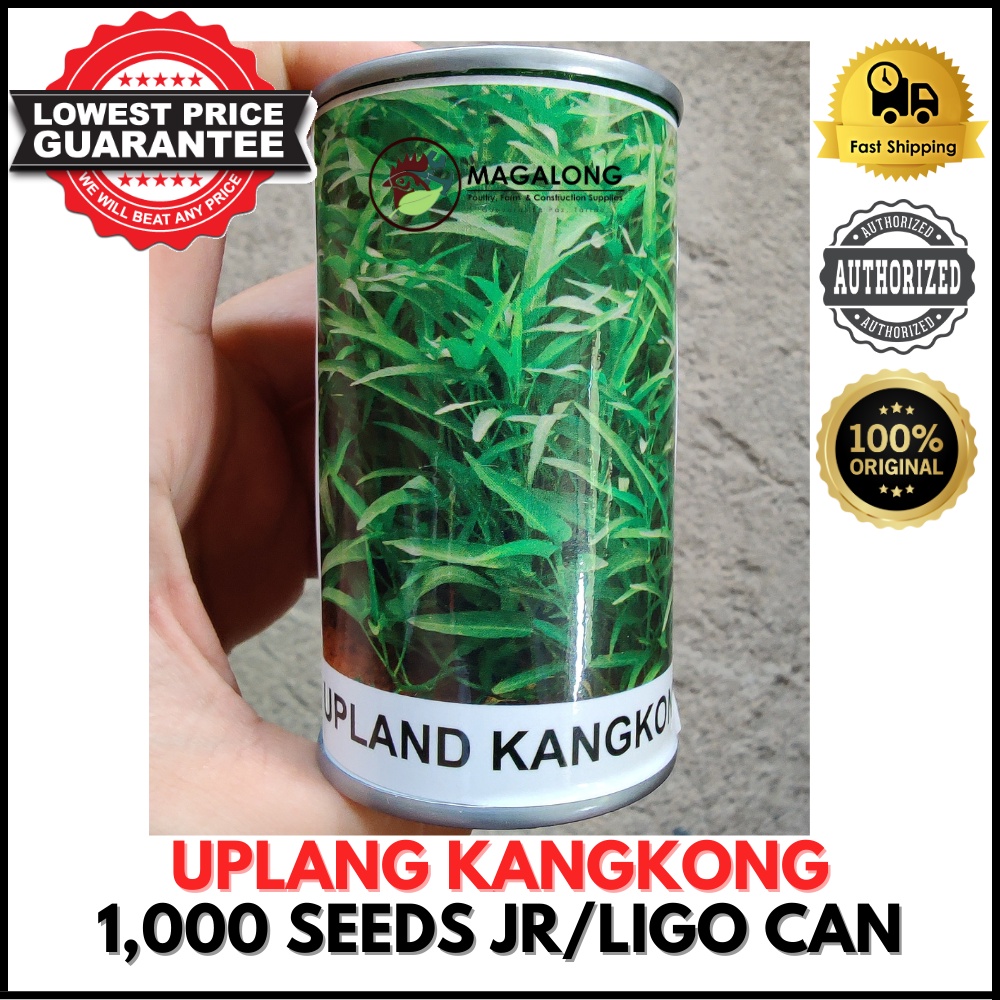 CONDOR SEEDS - KANGKONG SEEDS - UPLAND 1,000 Seeds - JR CAN / LIGO CAN ...