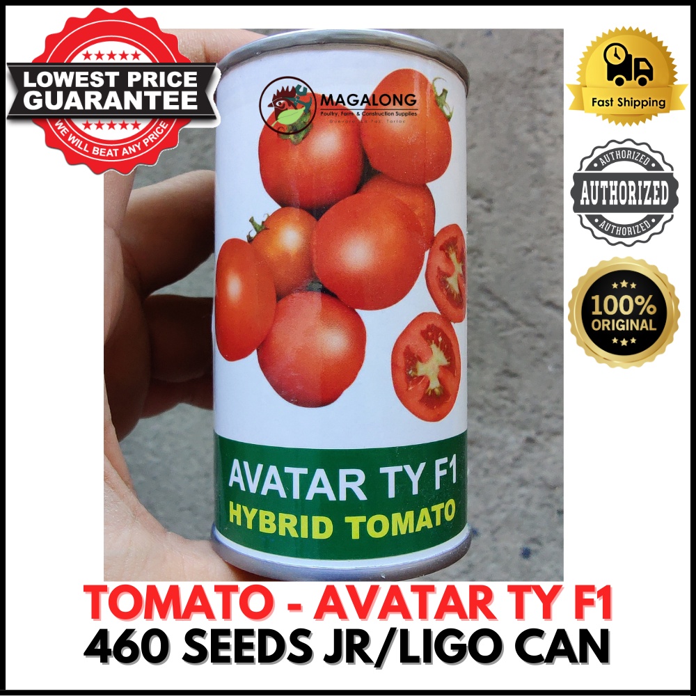 CONDOR SEEDS - TOMATO SEEDS - AVATAR TY F1 HYBRID 460 Seeds - JR CAN ...