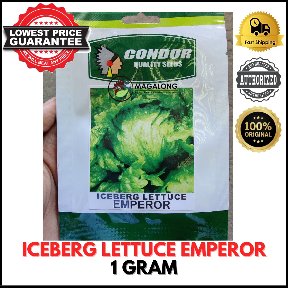 CONDOR SEEDS - ICEBERG LETTUCE SEEDS - EMPEROR 1 Gram | Shopee Philippines