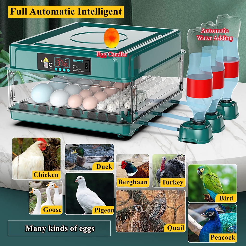 70/48 Eggs Fully Automatic Egg Incubator Intelligent Digital Hatcher ...