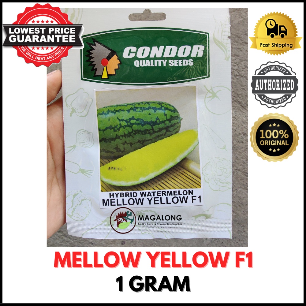 CONDOR SEEDS - WATERMELON SEEDS - MELLOW YELLOW 1 Gram | Shopee Philippines