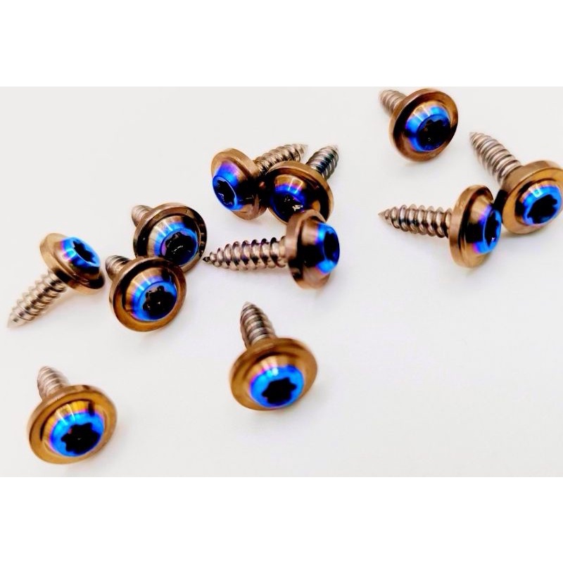 GR5 TITANIUM 5X15 4x15 BODYSCREW ITSALAYA/BURN DESIGN PER PC | Shopee ...