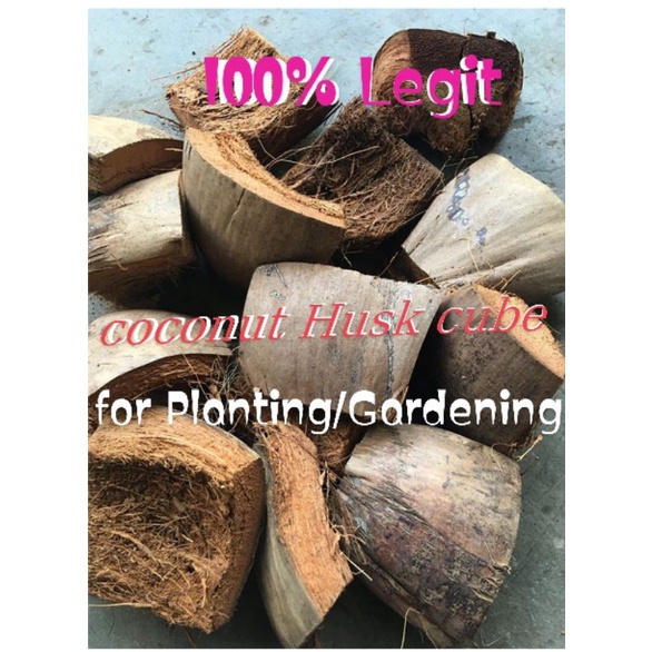 Coconut Husk Cubes for planting 1 kilo | Shopee Philippines