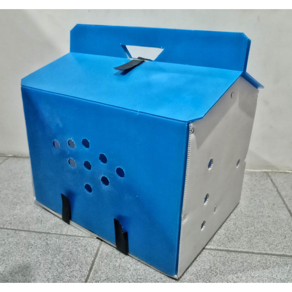 Derby Box Plastic (Double ) ASSORTED | Shopee Philippines