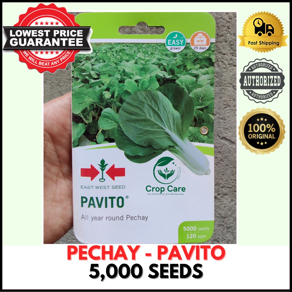 EAST-WEST SEEDS - PECHAY SEEDS - PAVITO 5,000 Seeds | Shopee Philippines