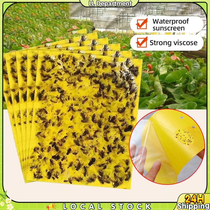 50Pcs Strong Flies Traps Bugs Catcher Sticky Board Double-Sided Sticky ...