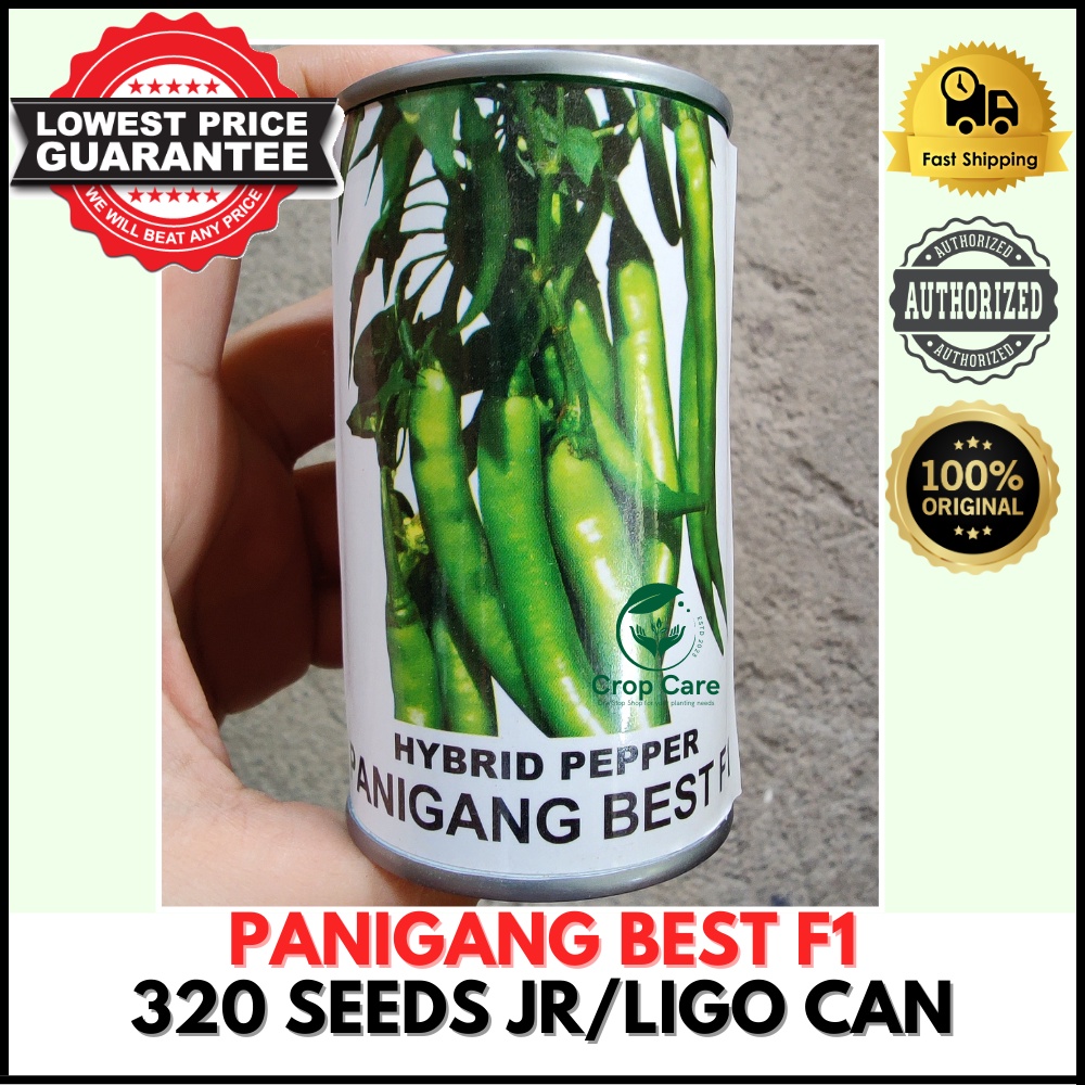 CONDOR SEEDS - PEPPER SEEDS - PANIGANG BEST F1 HYBRID 320 Seeds - JR ...